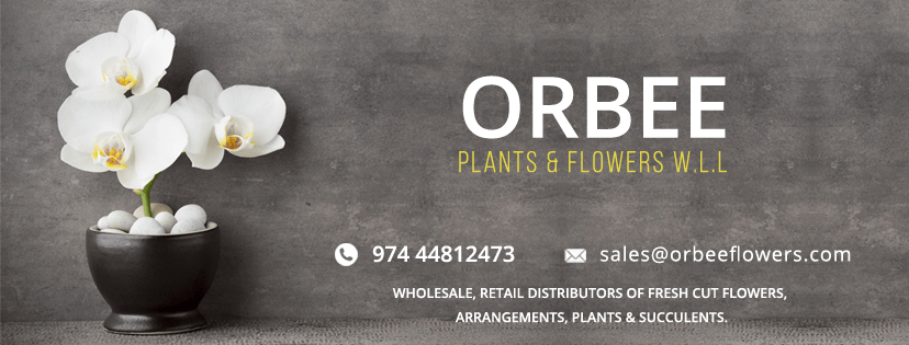 ILoveQatar.net | Buy plants online: Here are home plants delivery in Qatar