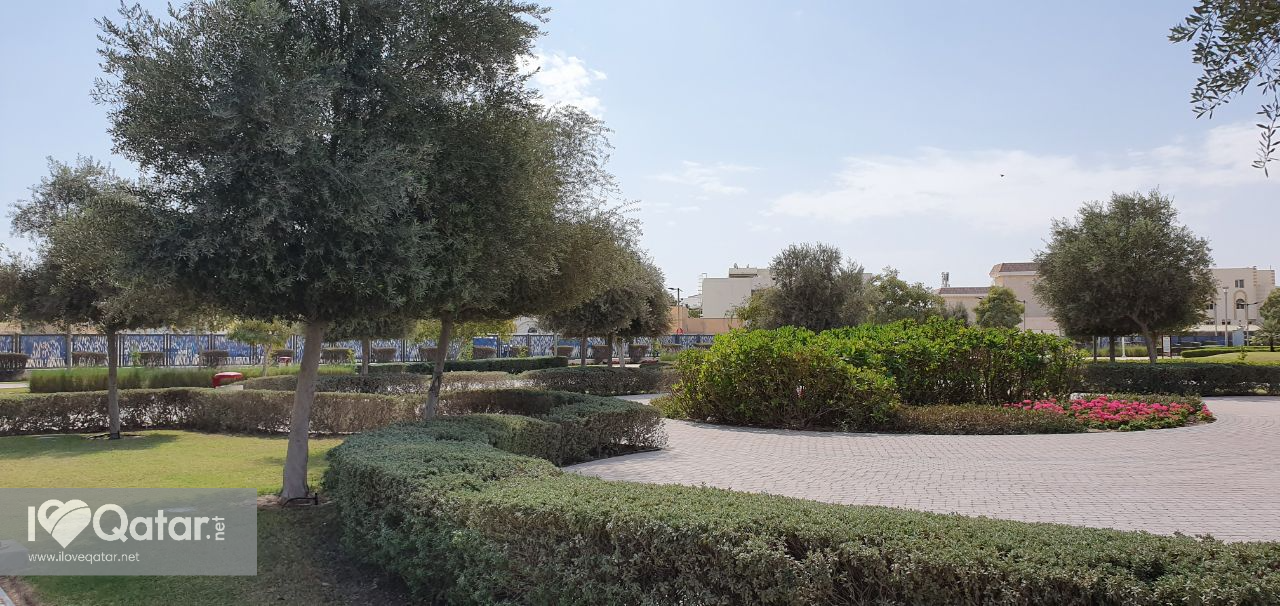 ILoveQatar.net | How is Al Legtaifiya Park different from the other ...