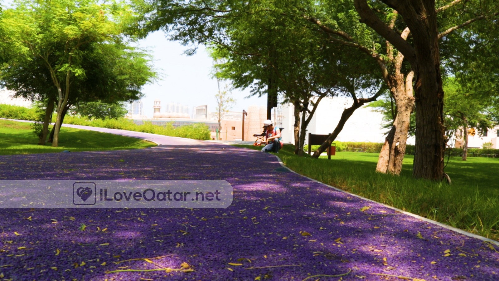 ILoveQatar.net | Coloured roads in Qatar