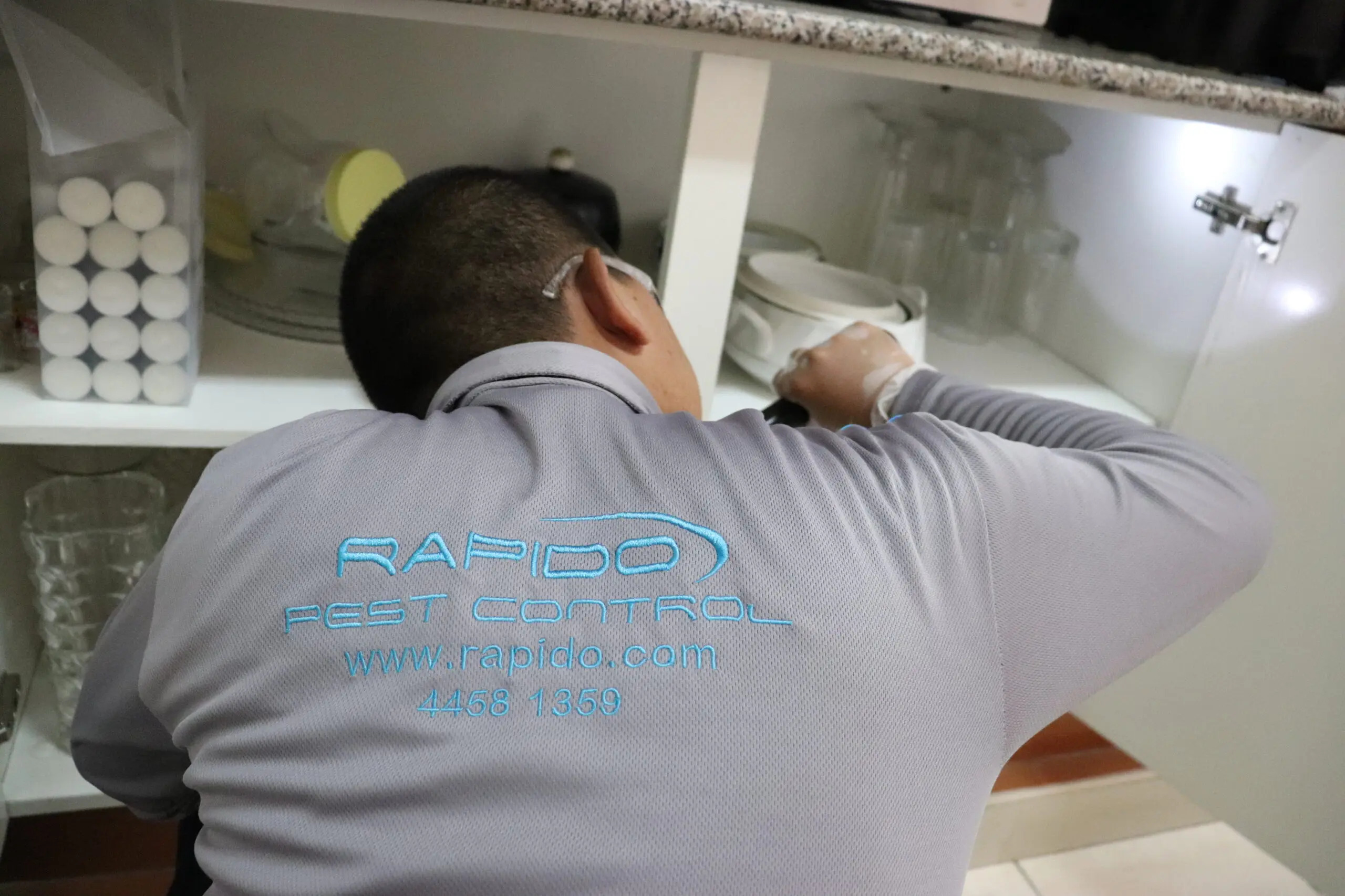 ILoveQatar.net | Companies offering pest control services in Qatar