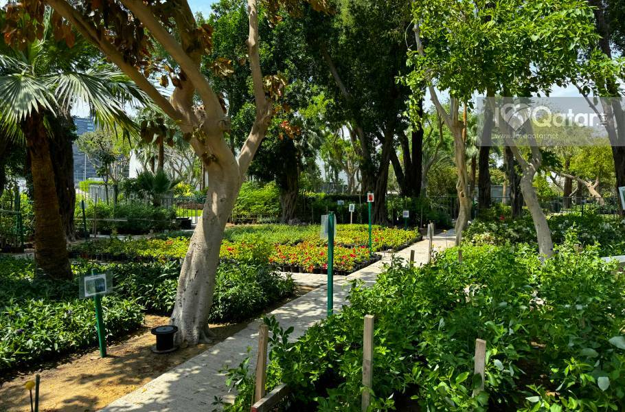 ILoveQatar.net | What to check out at MIA Park