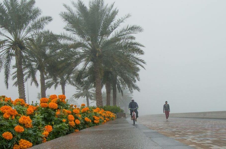 ILoveQatar.net | Qatar’s fog due to a ‘once in three years’ phenomenon