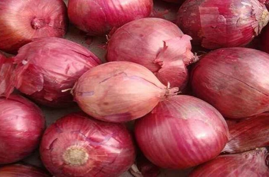 ILoveQatar.net | Drastic fall in imports: Indian onion price rise in ...