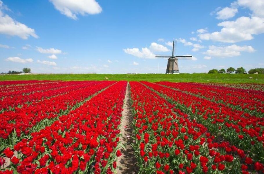 ILoveQatar.net | The most beautiful countries of the world – Visit Holland