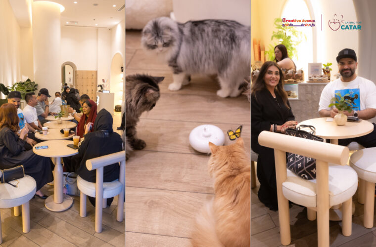 ILoveQatar.net | Caring for CATar Community Event for Animal Welfare ...