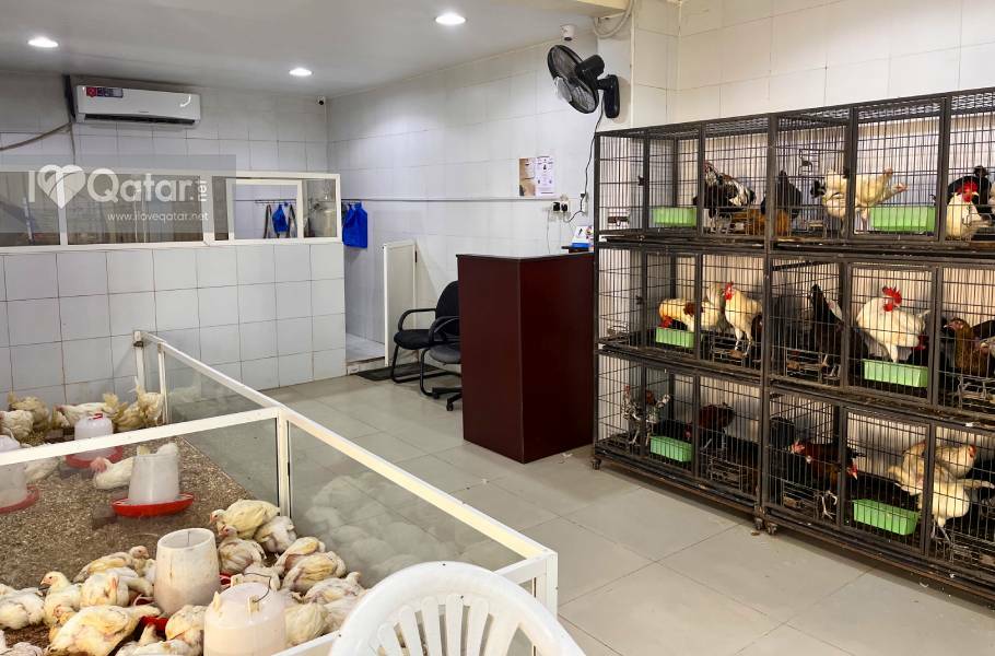 ILoveQatar.net | Your guide to Umm Salal Central Market