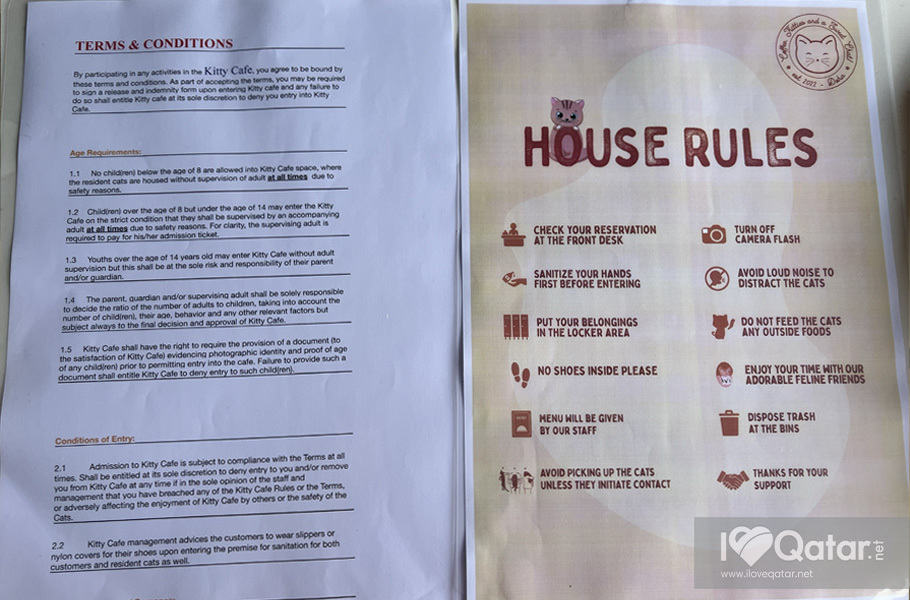 ILoveQatar.net | What to expect at Kitty Cafe in Lusail