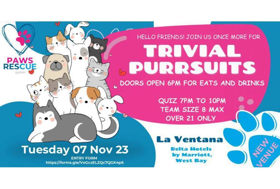 ILoveQatar.net | Quiz nights to try around Doha