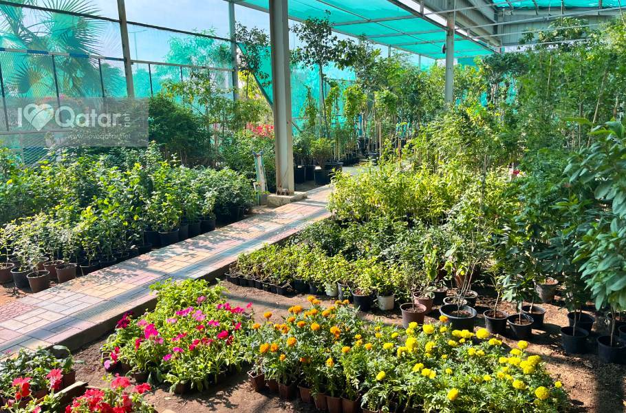 ILoveQatar.net | Your guide to Al Wakrah Central Market