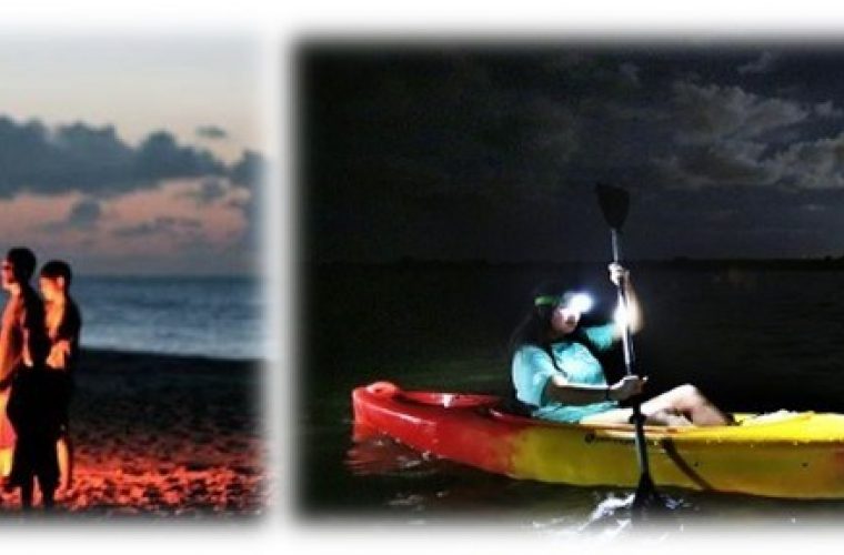 ILoveQatar.net | Full Moon Kayaking Adventure