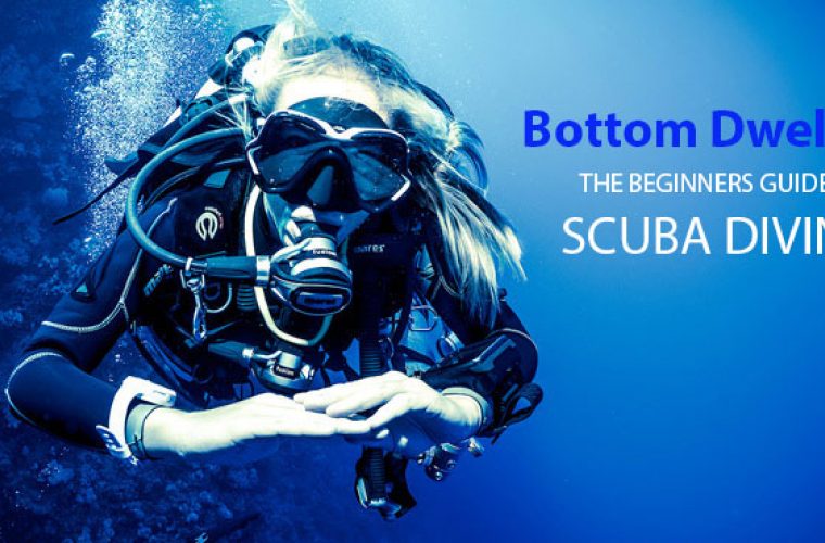 ILoveQatar.net | Open Water Scuba Diving Course