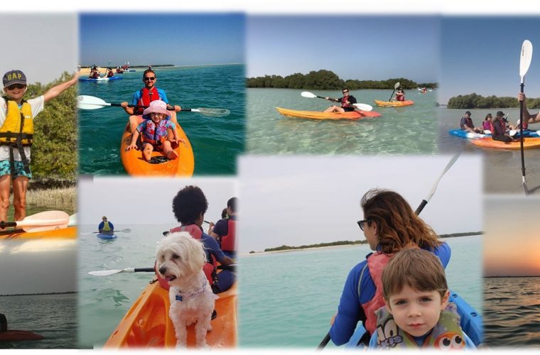 ILoveQatar.net | Sunset Kayaking Adventure To Flamingo Island
