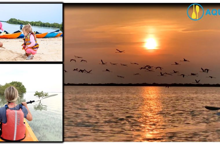 ILoveQatar.net | Sunset Kayaking Adventure To Flamingo Island & Explore ...