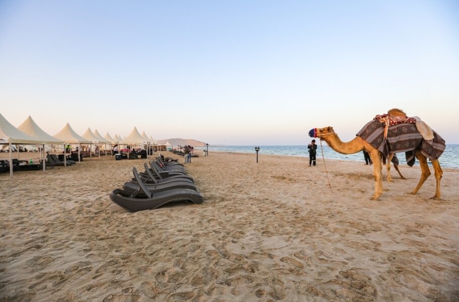ILoveQatar.net | Visit Qatar unveils interactive map of Khor Al Adaid's ...