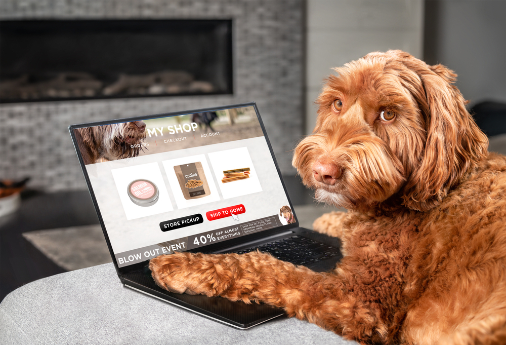 ILoveQatar.net | Where to shop for your furry friends in Qatar