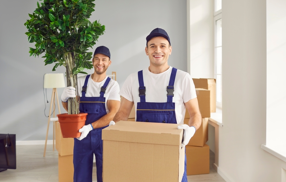 ILoveQatar.net | Moving companies in Qatar