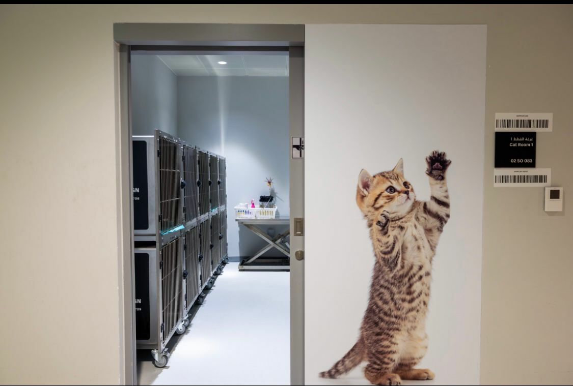 ILoveQatar.net | Qatar Airways Cargo launches Animal Centre to enhance ...