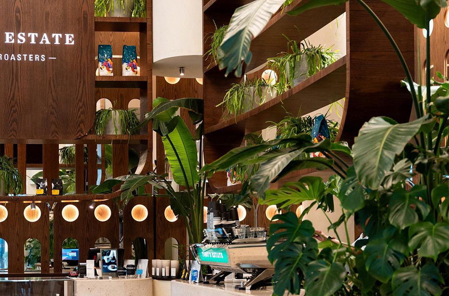 ILoveQatar.net | Cozy cafes ideal for reading in Qatar