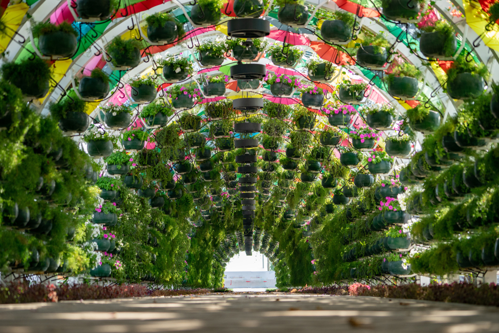 ILoveQatar.net | 11 colourful spots you need to check out in Qatar