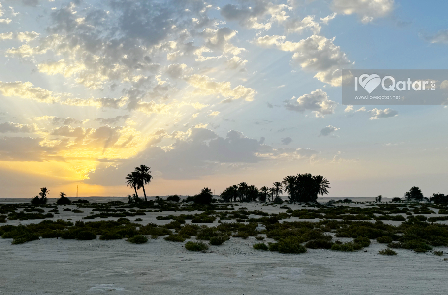 ILoveQatar.net | Your guide to Umm Bab Beach (Palm Tree Beach)