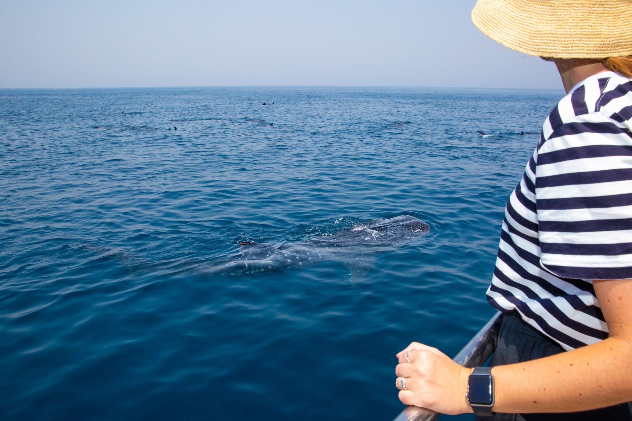 ILoveQatar.net | Tours to book in Qatar