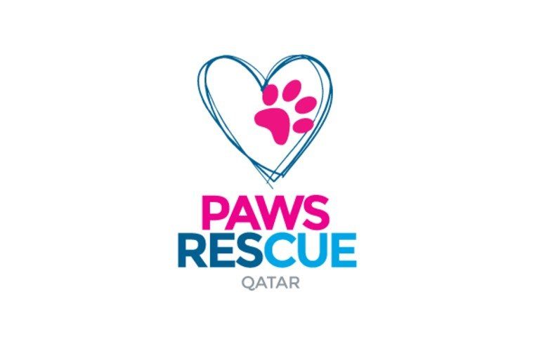 ILoveQatar.net | November Quiz Night at Paws Rescue Qatar