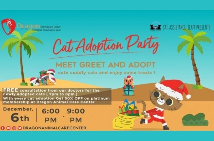 ILoveQatar.net | Cat Adoption Party at Dragon Animal Care Center
