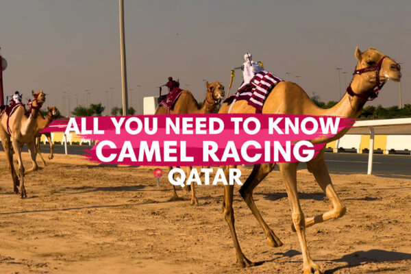 ILoveQatar.net | Qatar’s biggest guide for events, culture, and more!