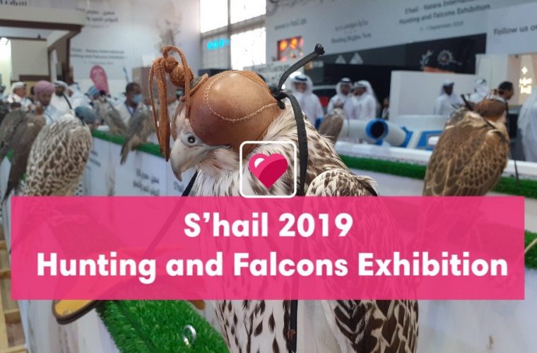 ILoveQatar.net | Katara Hunting and Falcon Exhibition 2019 in Qatar
